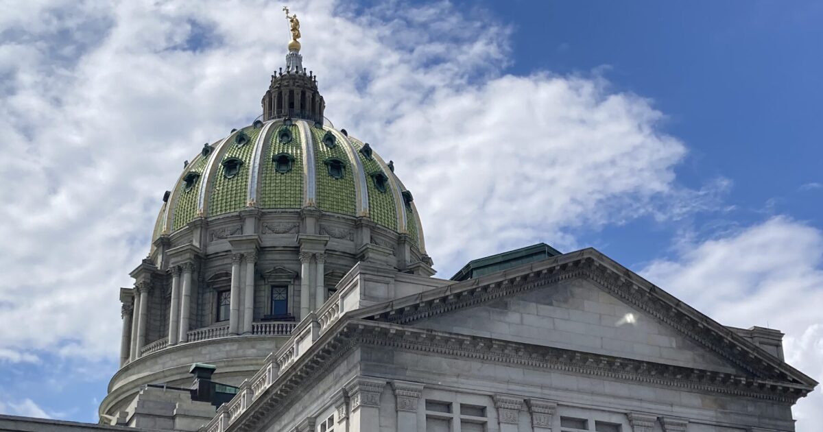 State Rep. Milou Mackenzie challenger wants ‘better and more ...